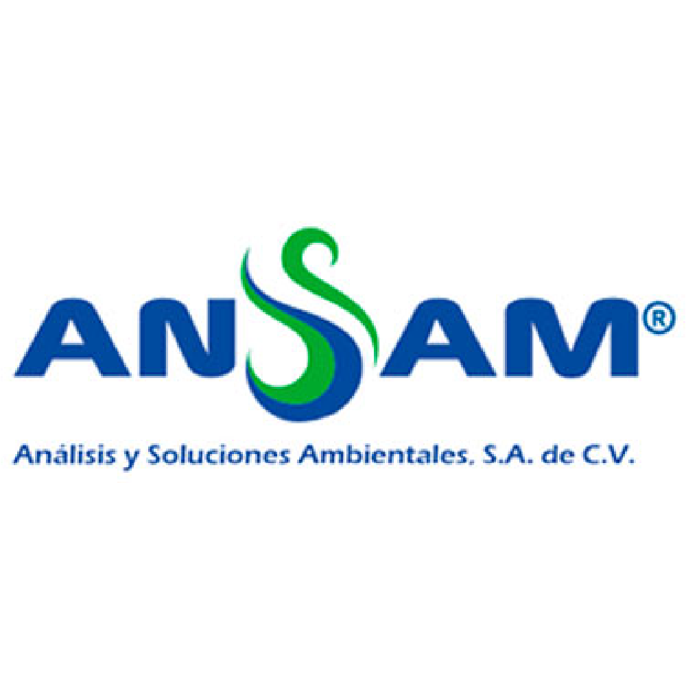 Ansam